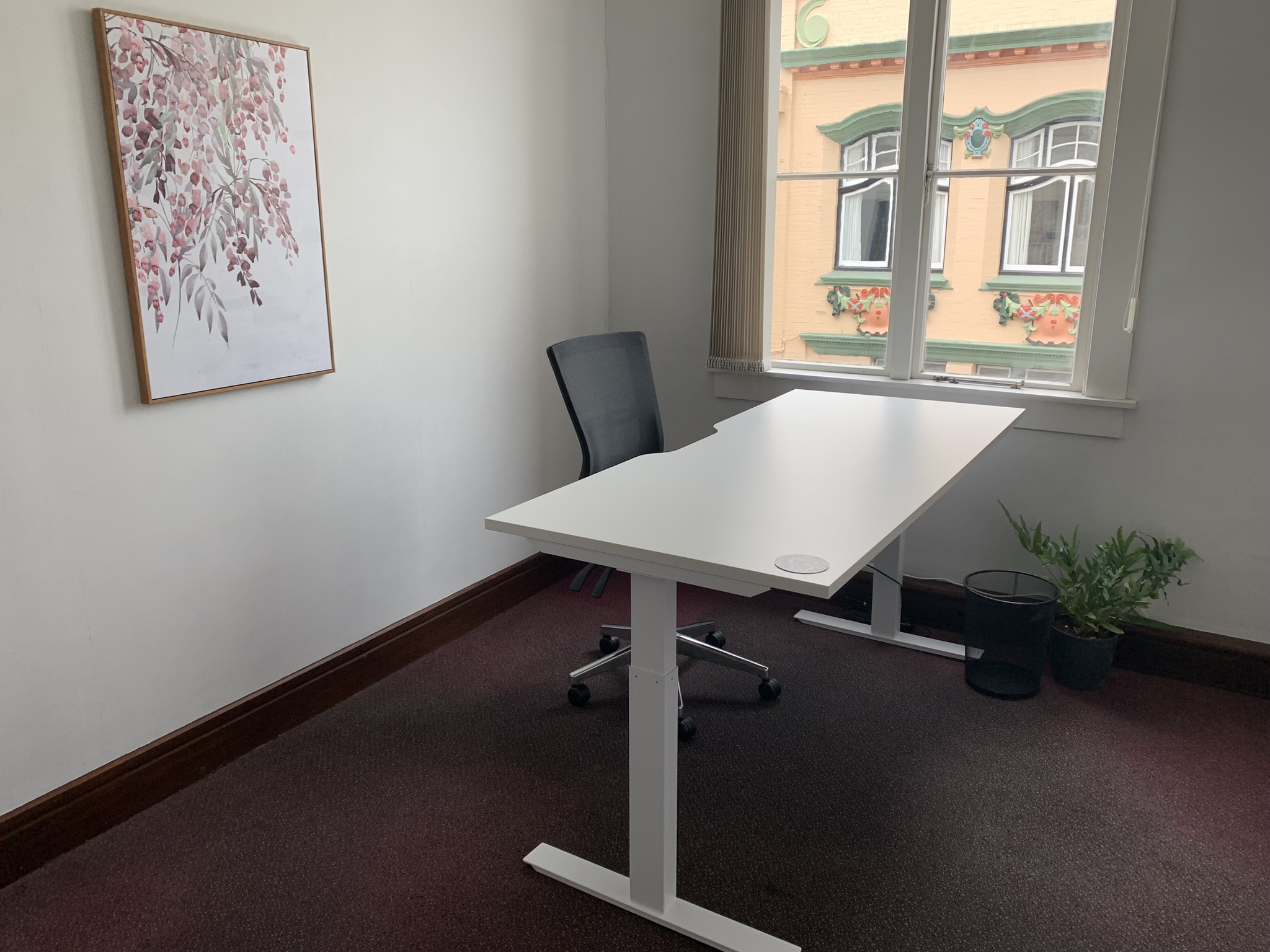 Home [squidspace.nz]